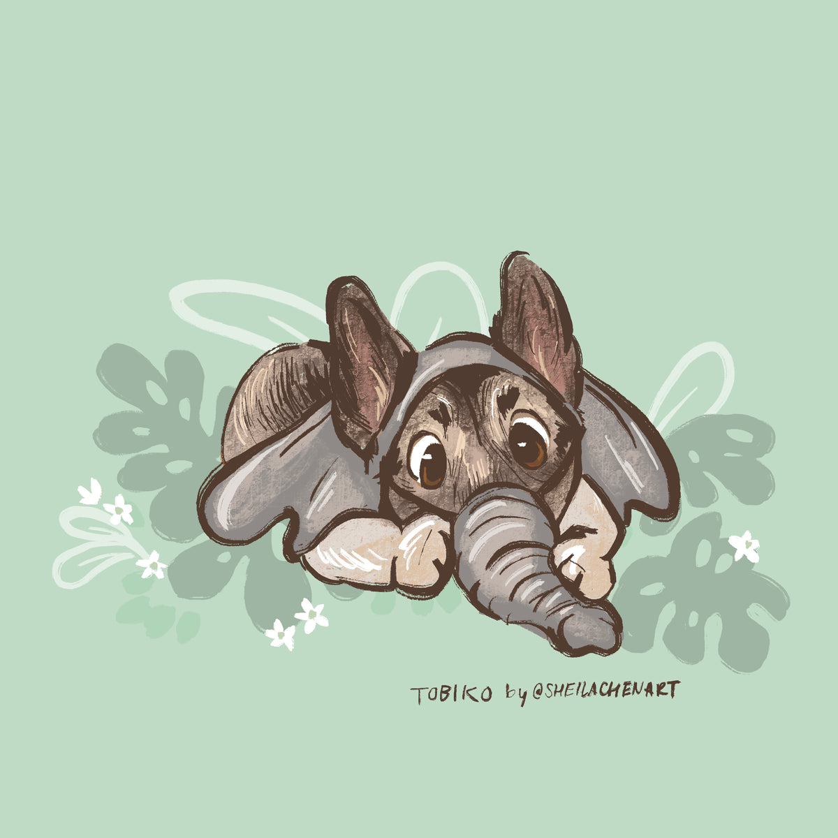 Safari – sheilachenart