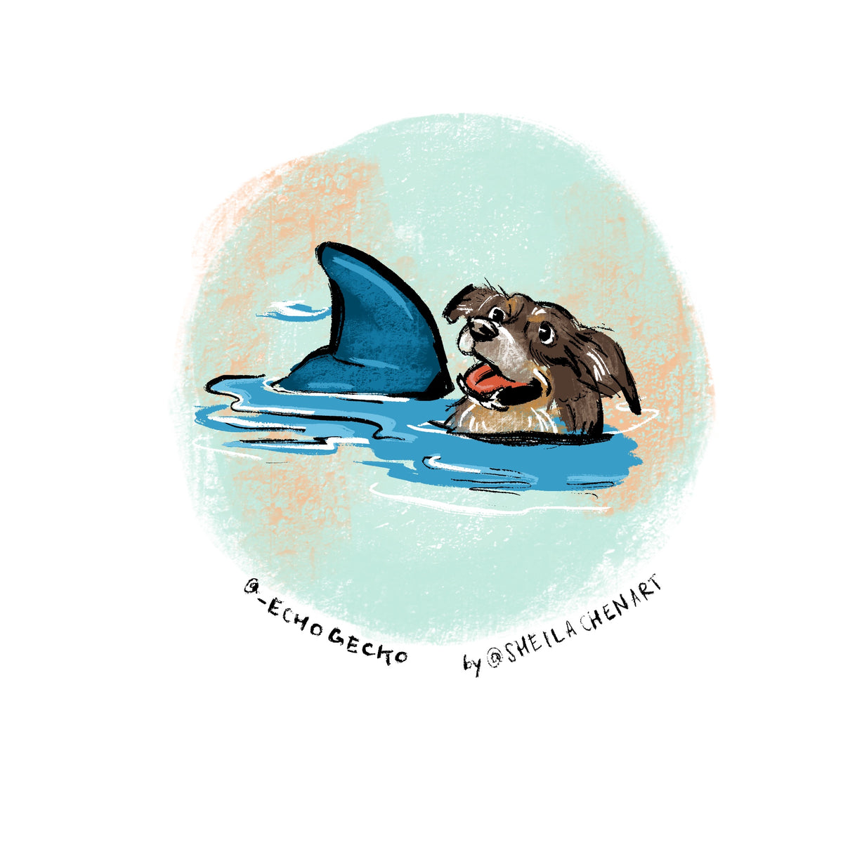Shark – sheilachenart